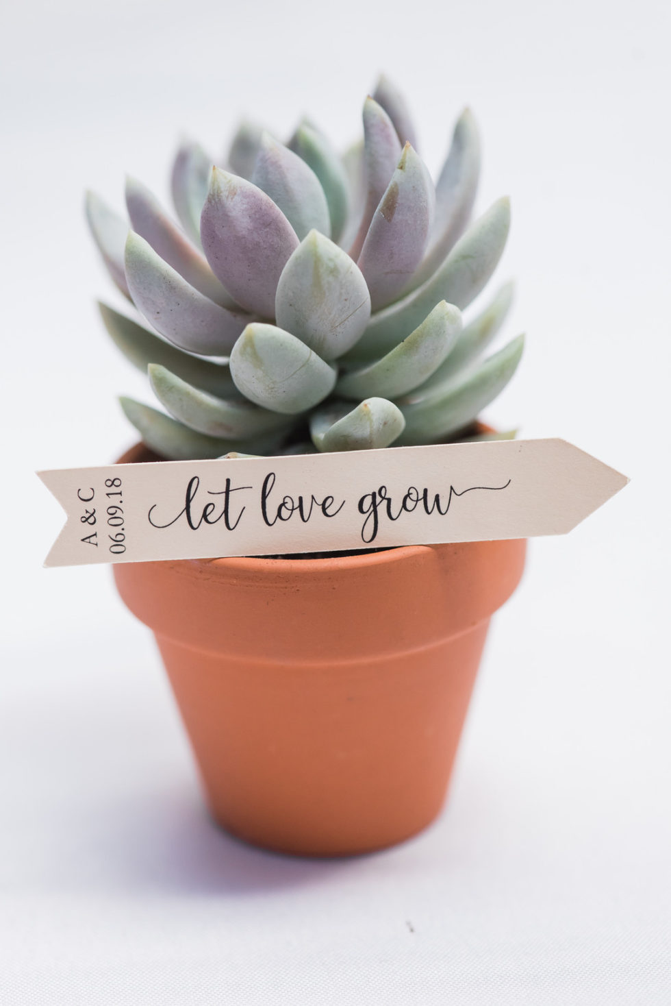 Courtney & Anthony's Mossy Forest Wedding